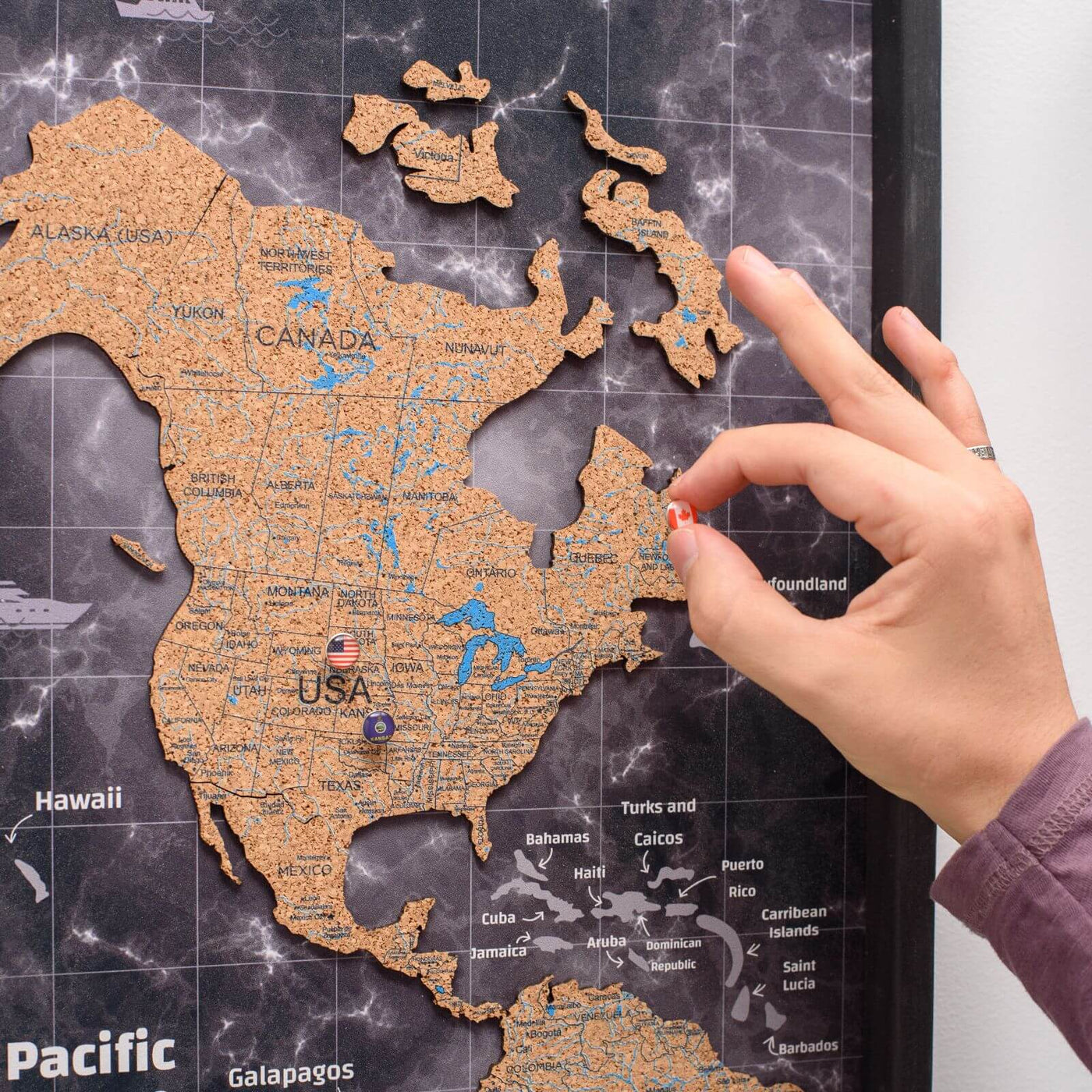 Wooden World Map Board - Enjoy The Wood - Order Now